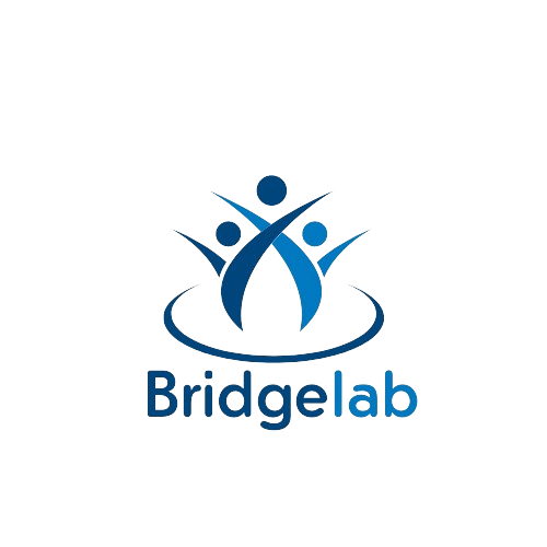 Bridge Lab